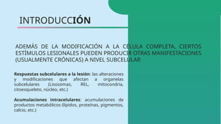 Respuesta subcelular a la lesion y acumulos intracelulares .pptx