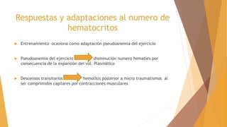 Respuestas y adaptaciones hematológicas al ejercicio | PDF