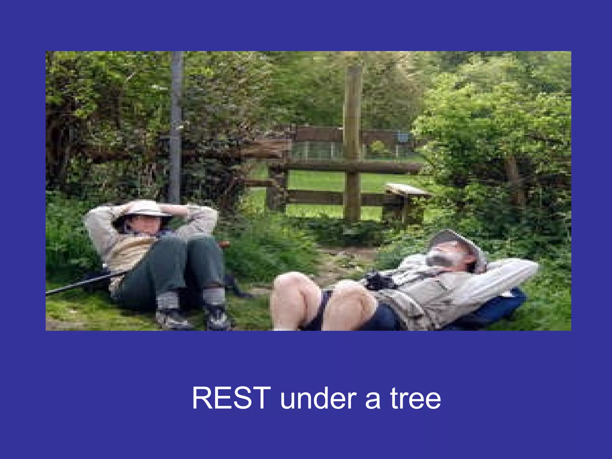 Rest | PPT
