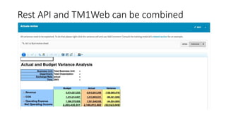 Building Applications with Rest API and TM1Web - Ambrus Vancso | PPT