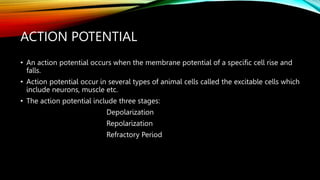 How Resting and Action potential occurs. | PPTX