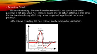 How Resting and Action potential occurs. | PPTX