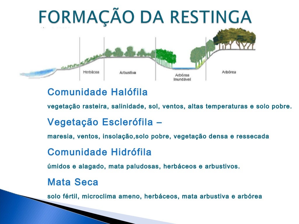 Restinga - Rio Grande do Norte