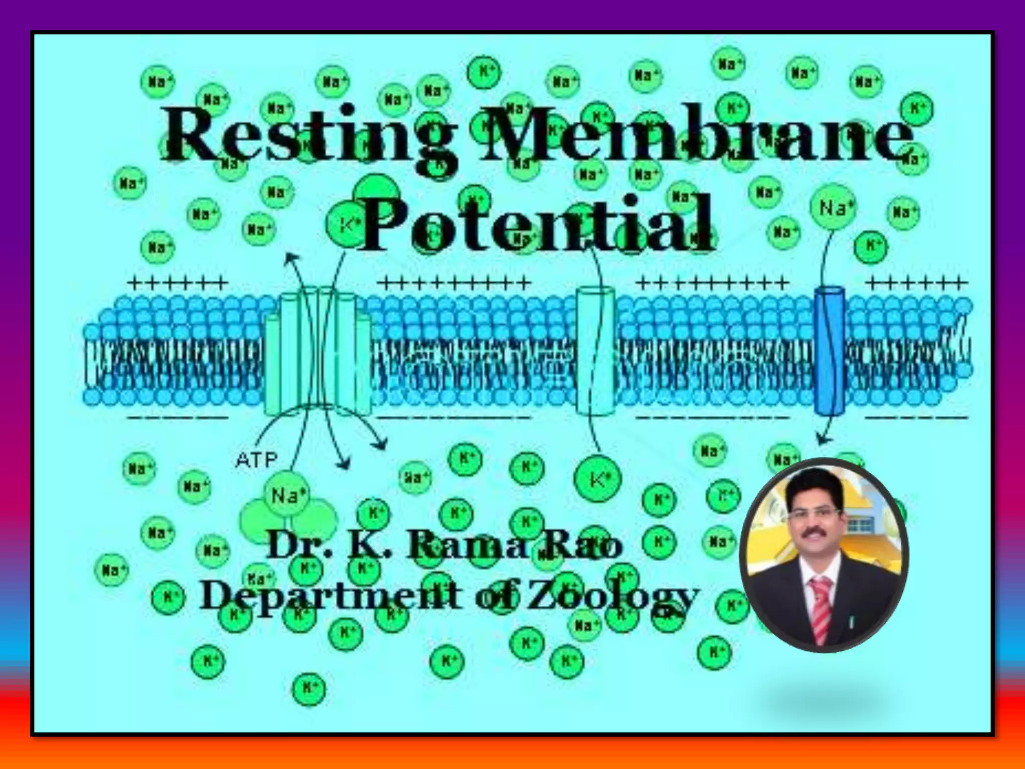 Resting membrane potential | PPTX