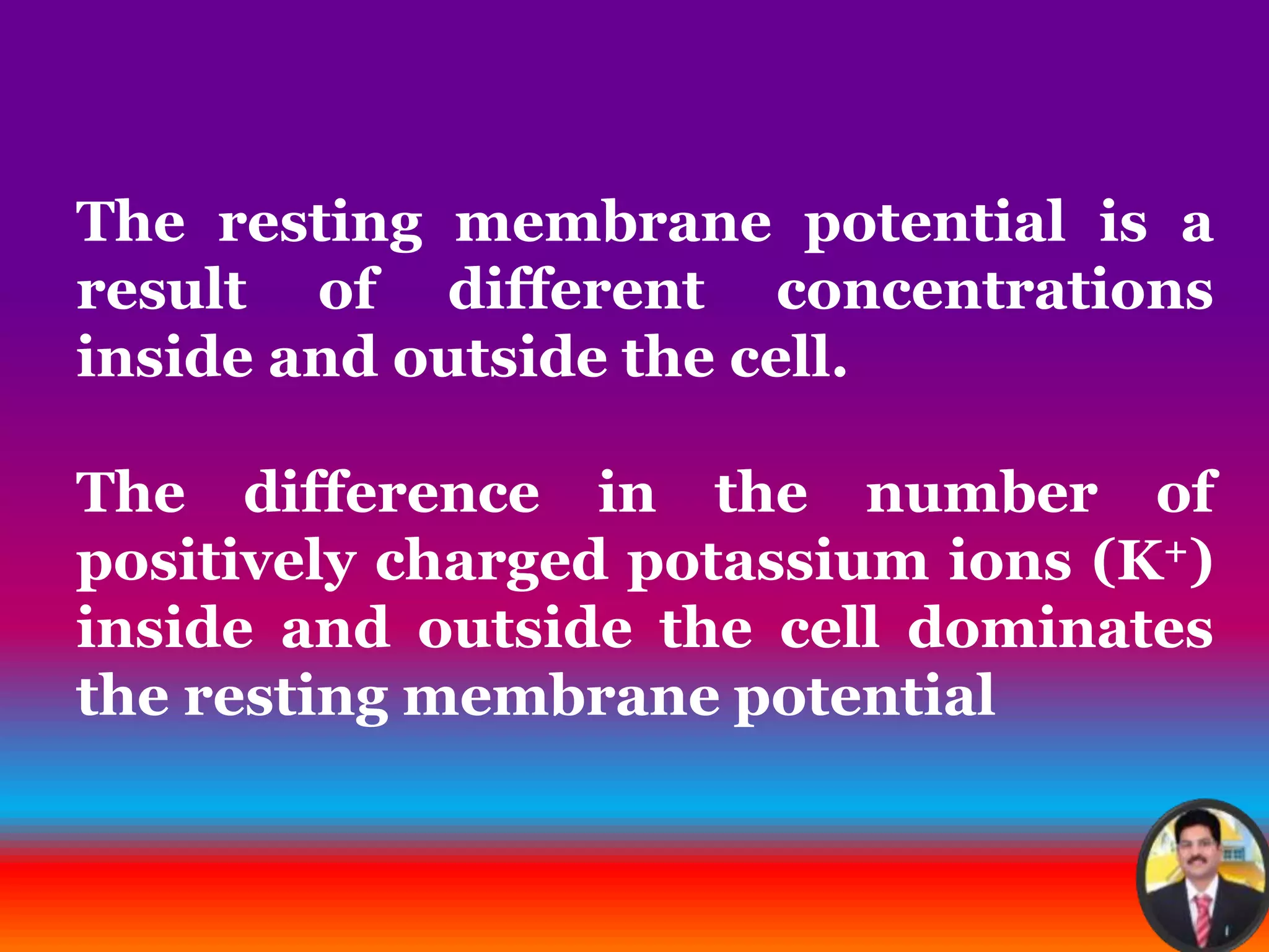Resting membrane potential | PPTX