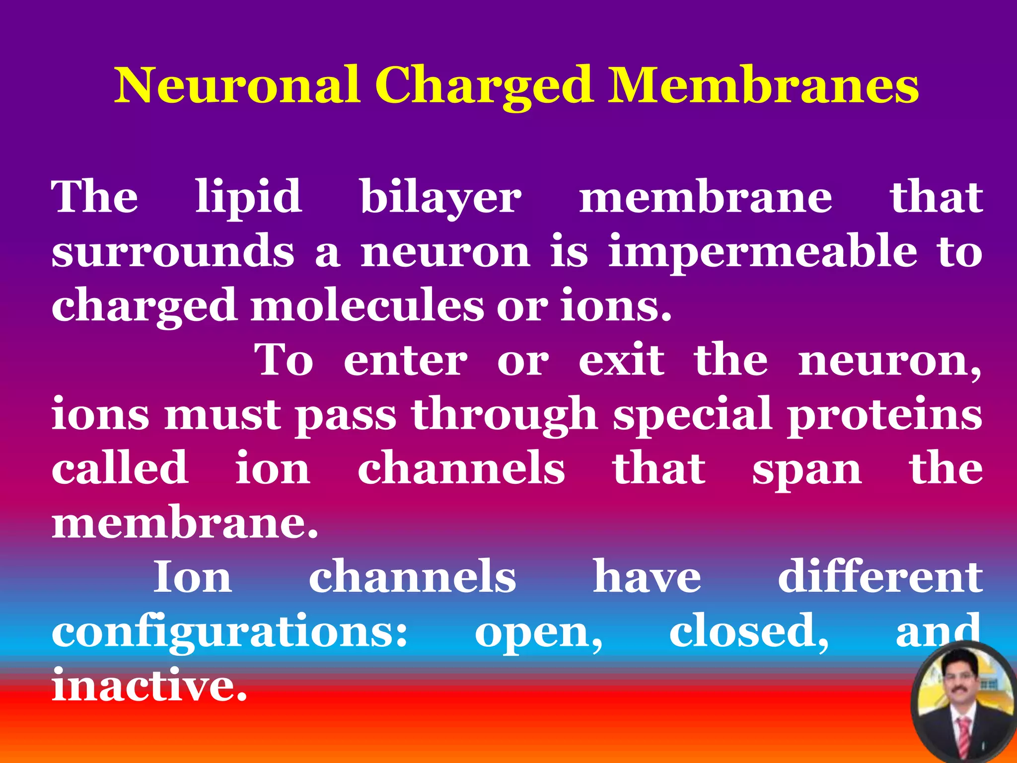 Resting membrane potential | PPTX