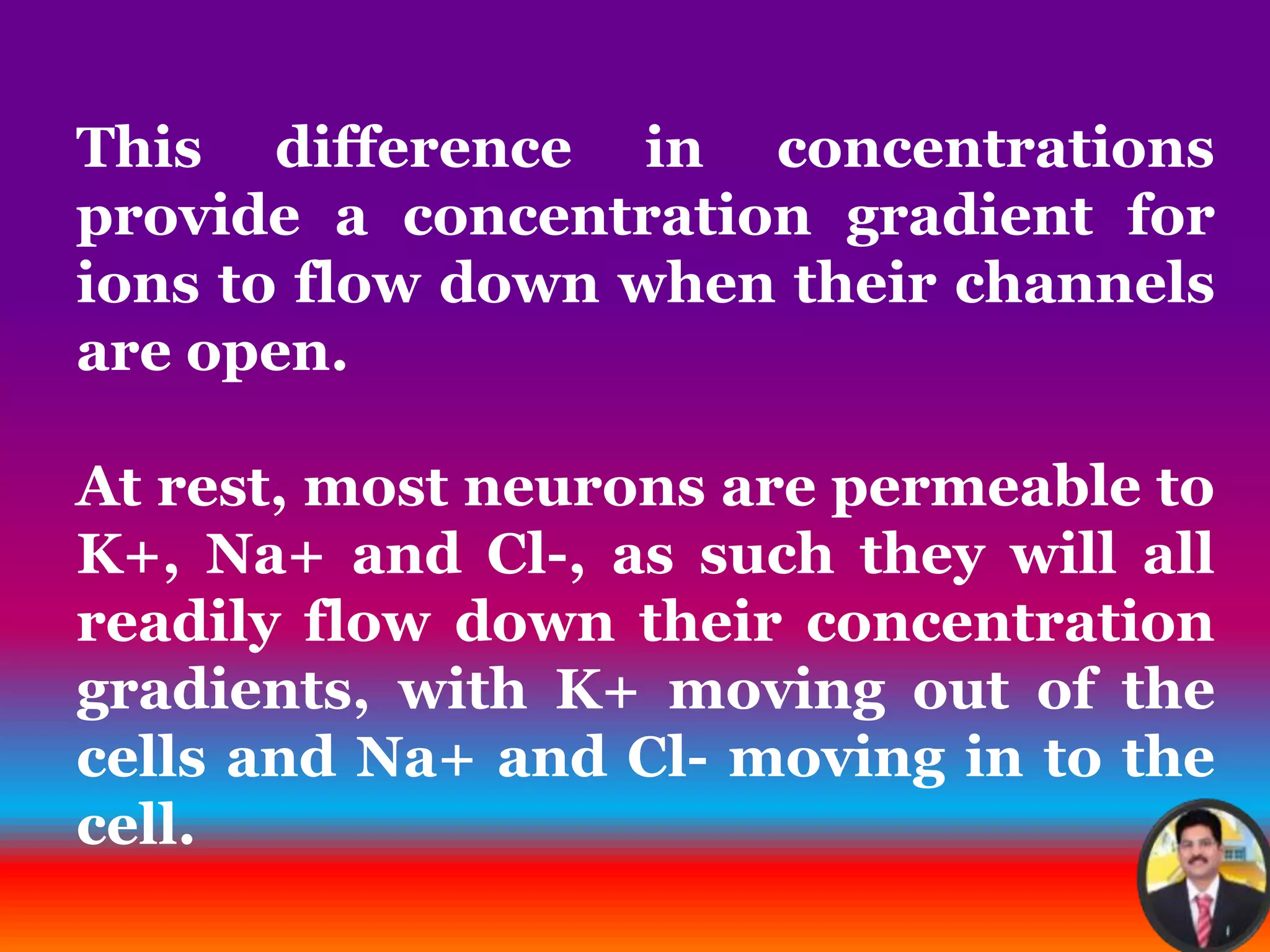 Resting membrane potential | PPTX