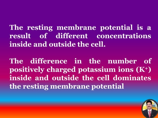 Resting membrane potential | PPTX