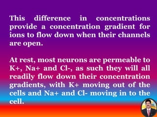 Resting membrane potential | PPTX