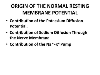 Resting membrane potential | PPTX