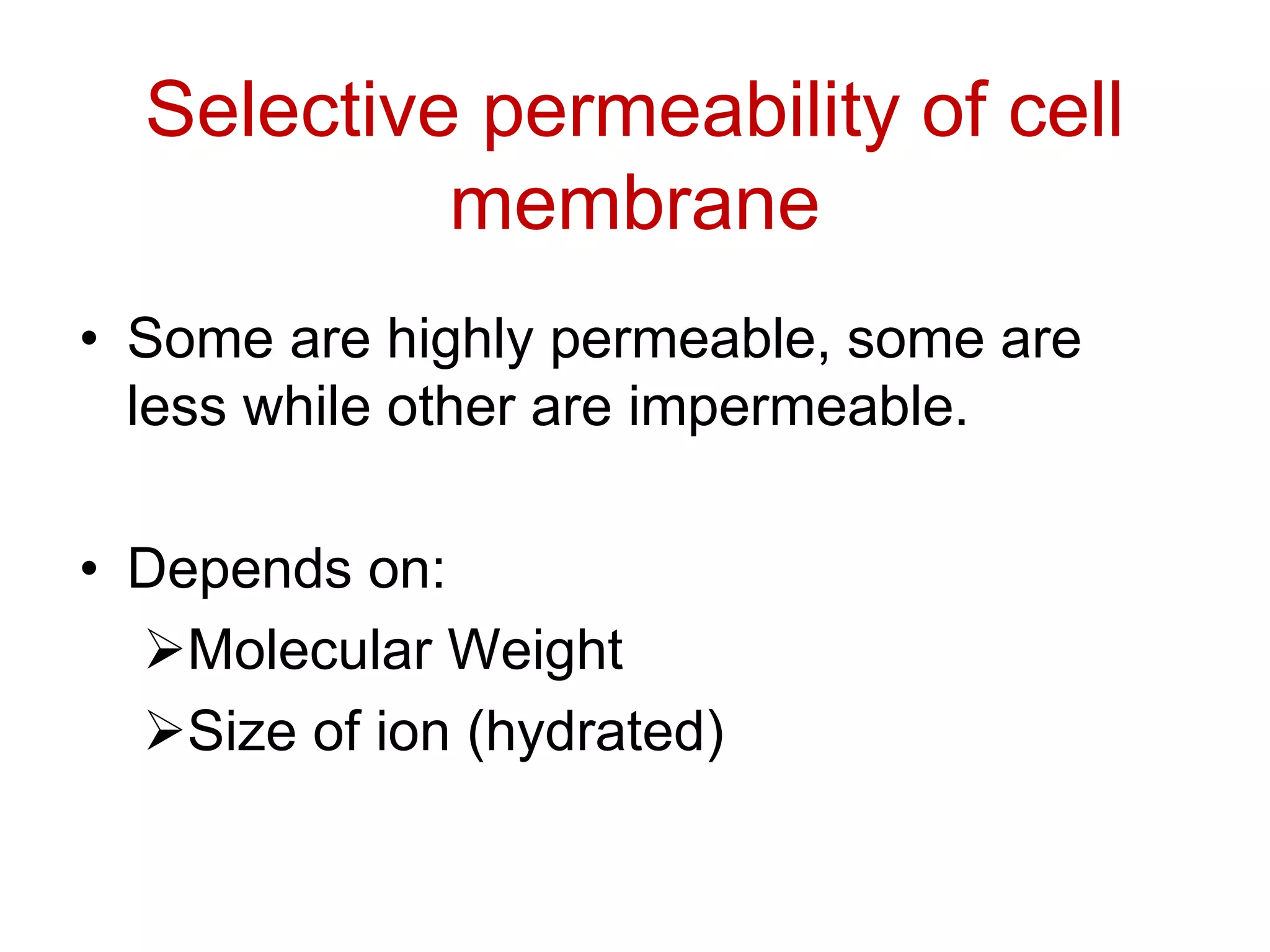 RESTING MEMBRANE POTENTIAL.ppt