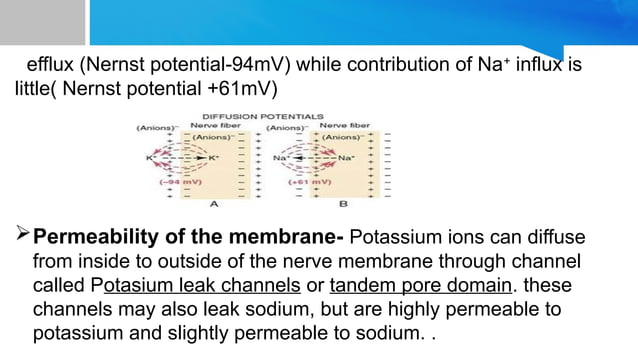 RESTING MEMBRANE POTENTIAL GUYTON AND HALL TEXTBOOK OF MEDICAL ...