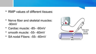 RESTING MEMBRANE POTENTIAL GUYTON AND HALL TEXTBOOK OF MEDICAL ...
