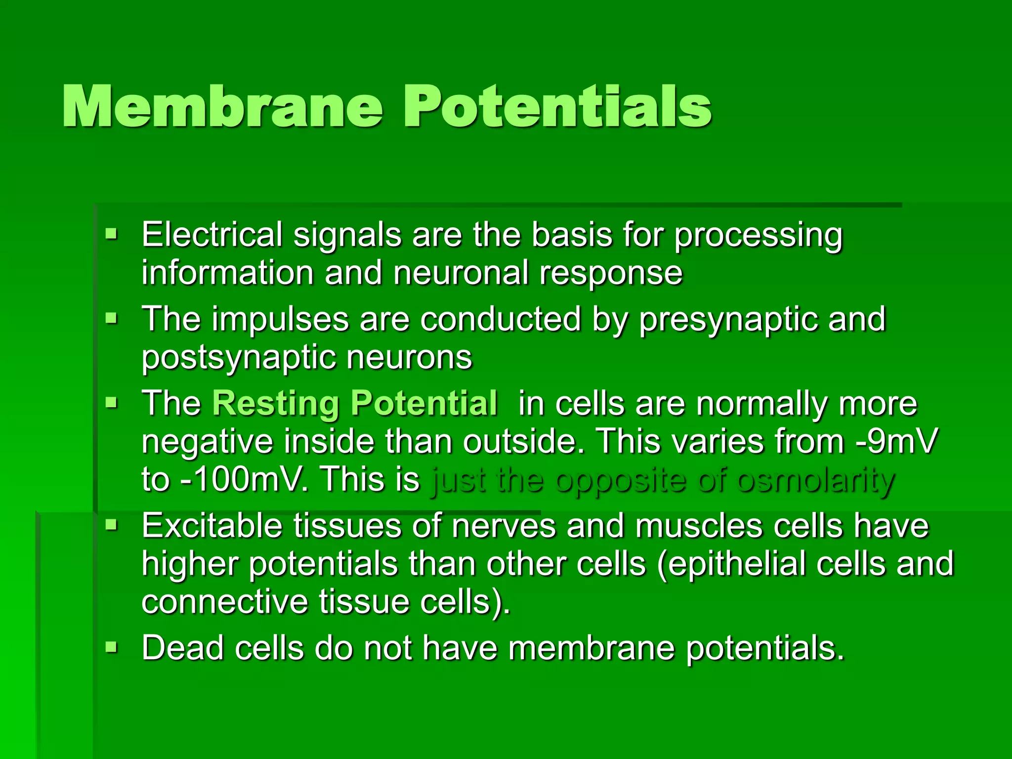 RestingMembranePotential | PPT