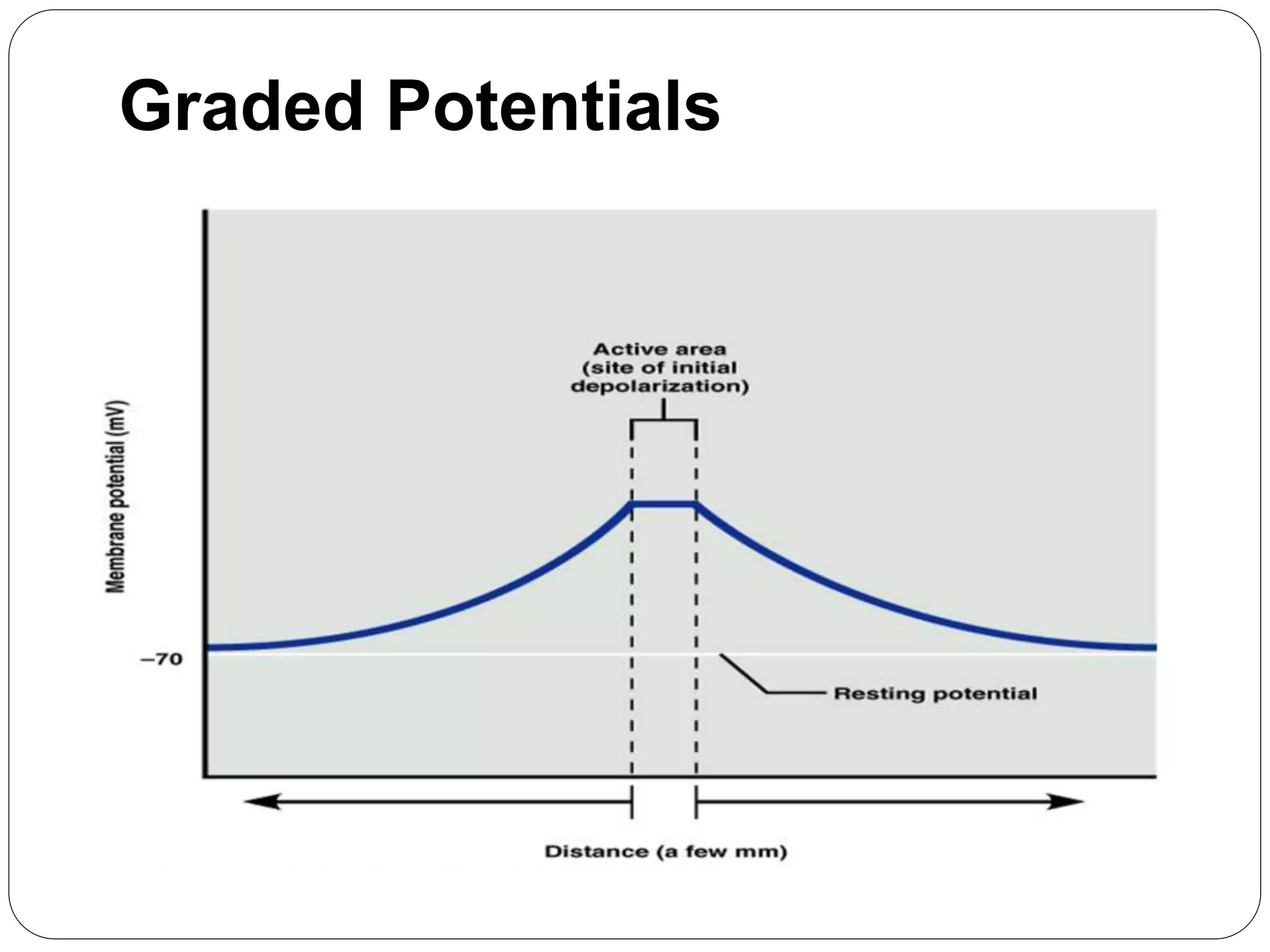 Resting membrane potential and action potential | PPTX