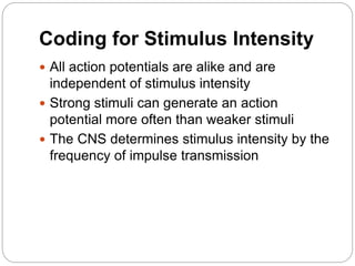 Resting membrane potential and action potential | PPTX