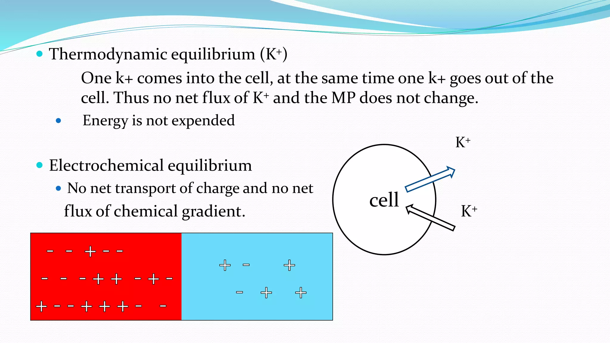 Resting Membrane potential | PPTX