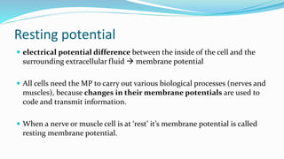 Resting Membrane potential | PPTX