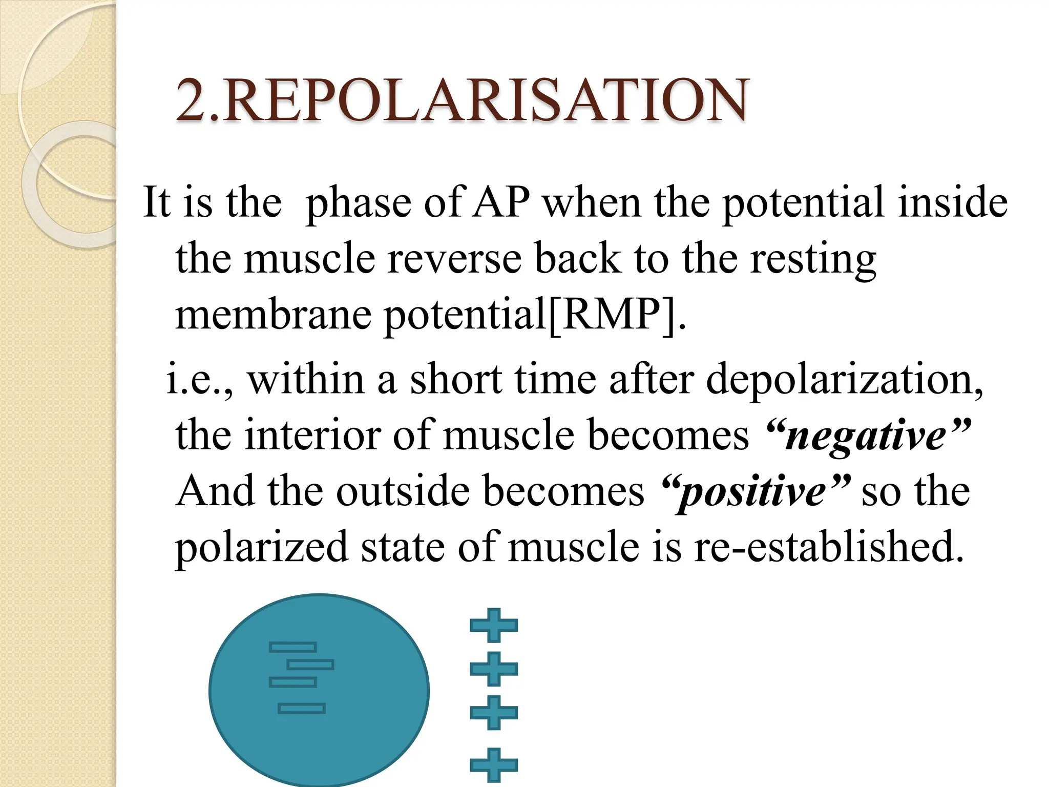 RESTING POTENTIAL & ACTION POTENTIAL-2.pptx