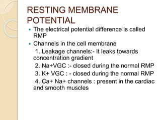 RESTING POTENTIAL & ACTION POTENTIAL-2.pptx