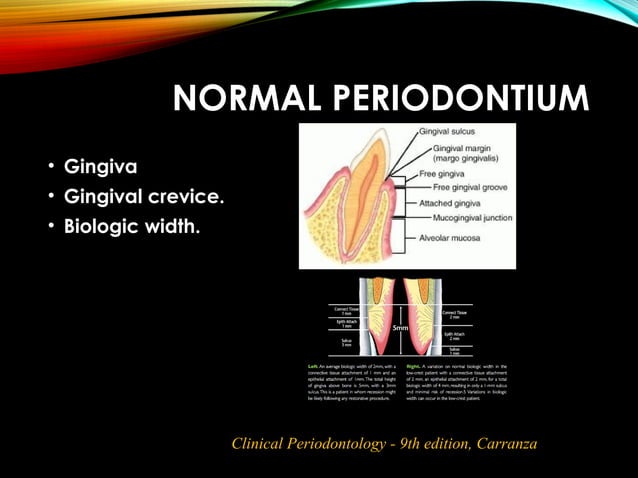 perio restorative | PPT | Dental Health | Diseases and Conditions