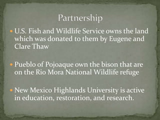 Restoration Techniques on the Rio Mora National Wildlife Refuge and ...