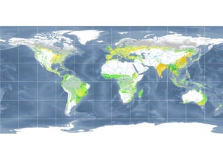 Making Forest Landscape Restoration a force of change | PPTX
