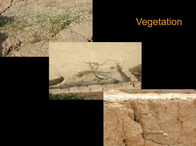 The Architectural Restoration Programme | PPT