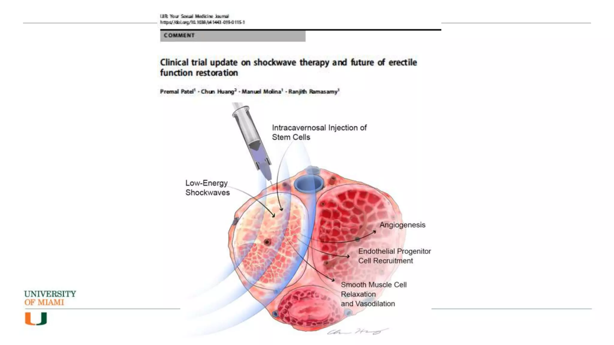 Restorative Therapies for Erectile Dysfunction | PPT