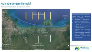 Restore mangrove with the local community: Building with Nature Program ...