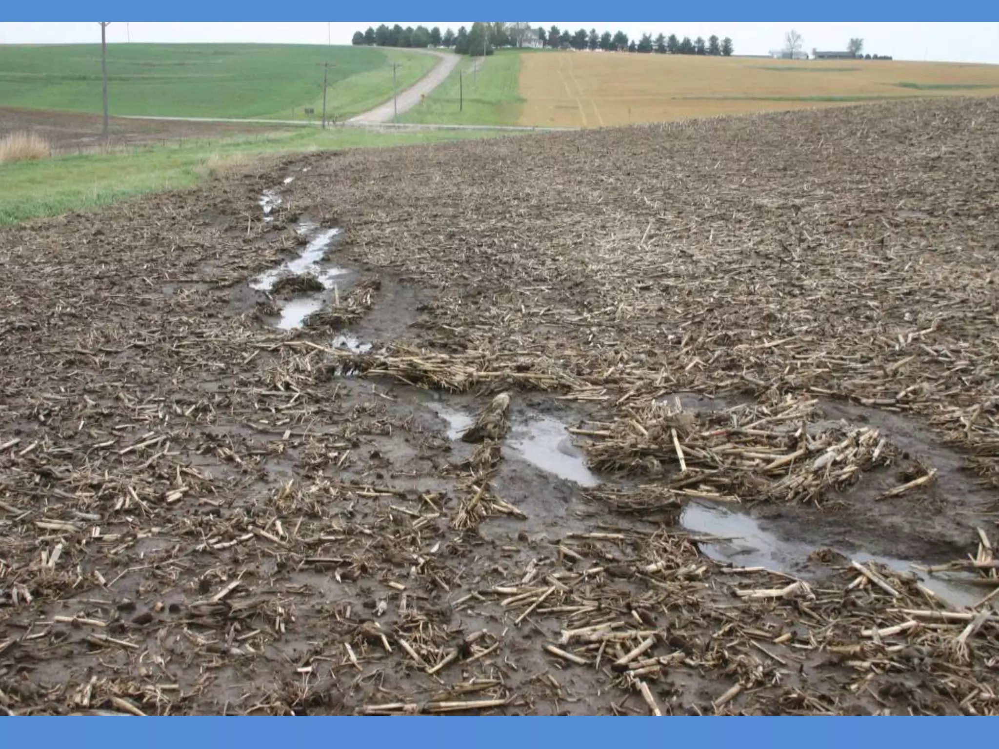 Restoring Depleted Soils - Berger | PPTX