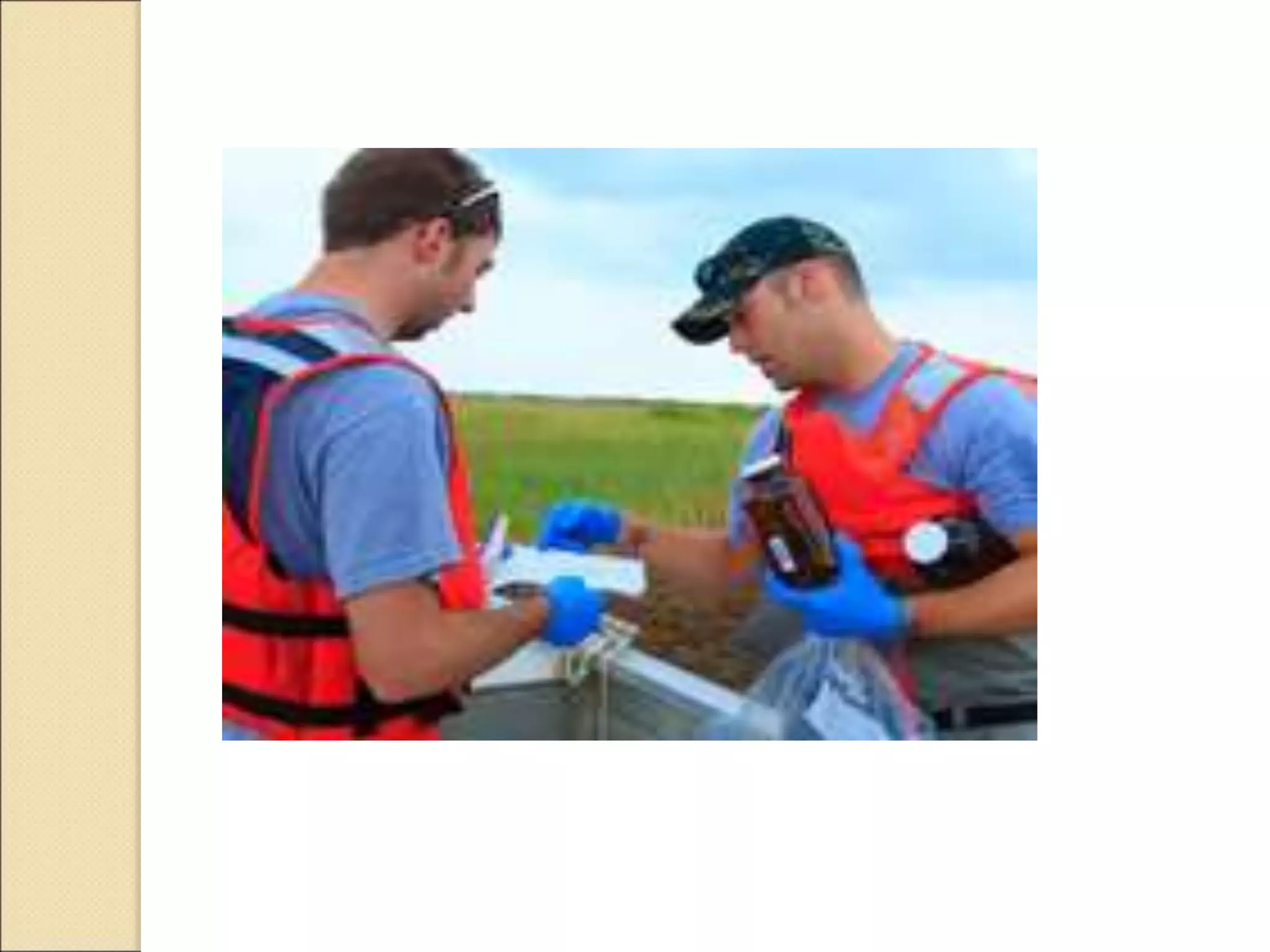 Restoring the environment - Bp Global | PPT