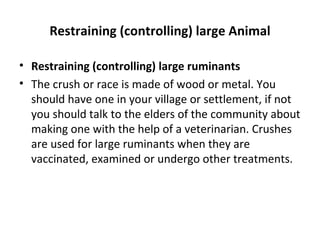Restraining of large animals | PPT