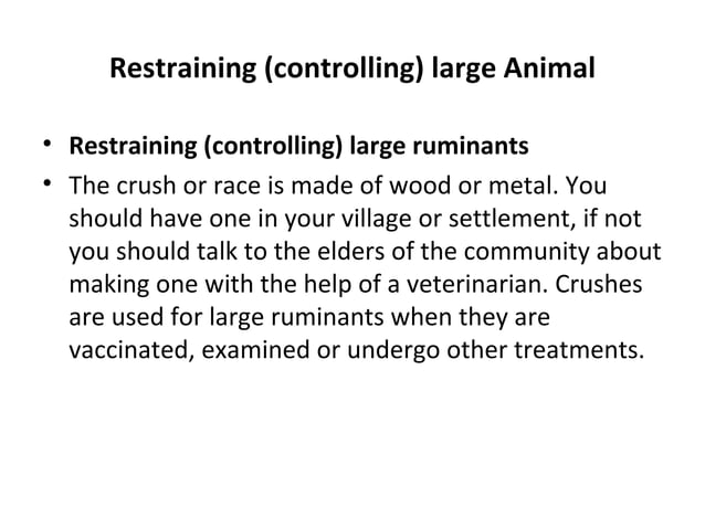 Restraining of large animals | PPT | Large Animals | Pets