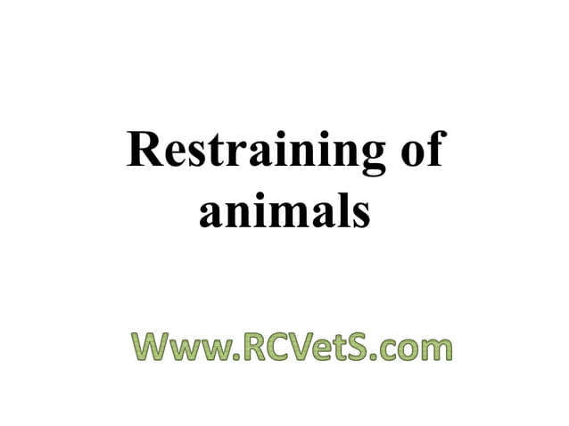 Restraining of Animals | PPTX | First Aid | Injuries