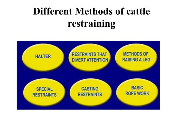 Restraining of Animals | PPTX | First Aid | Injuries