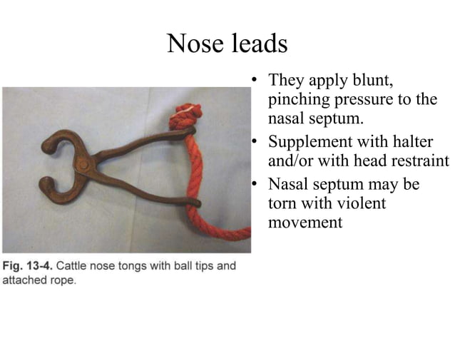 Restraining of Animals | PPTX | First Aid | Injuries