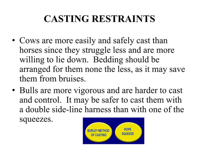 Restraining of Animals | PPTX | First Aid | Injuries