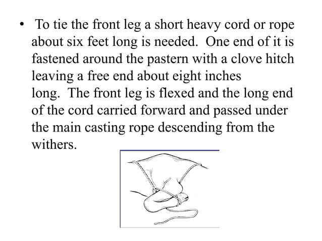 Restraining of Animals | PPTX | First Aid | Injuries
