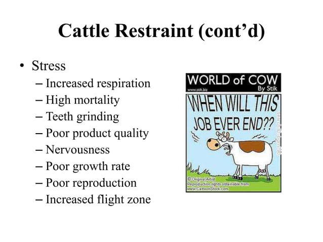 Restraining of Animals | PPTX | First Aid | Injuries