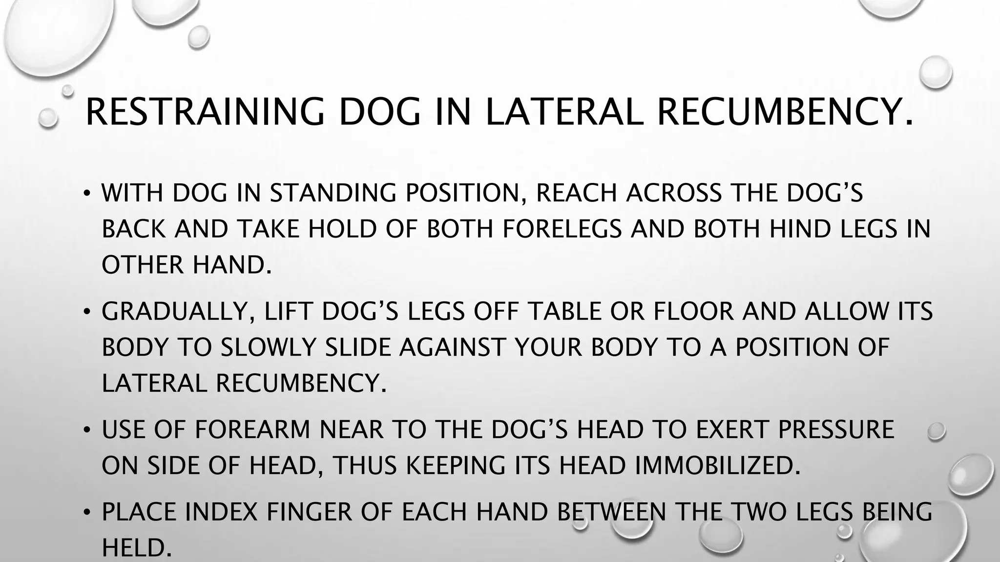 Restraining of Dog | PPTX