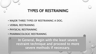 Restraining of Dog | PPTX