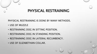 Restraining of Dog | PPTX