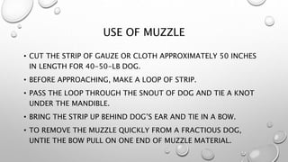 Restraining of Dog | PPTX