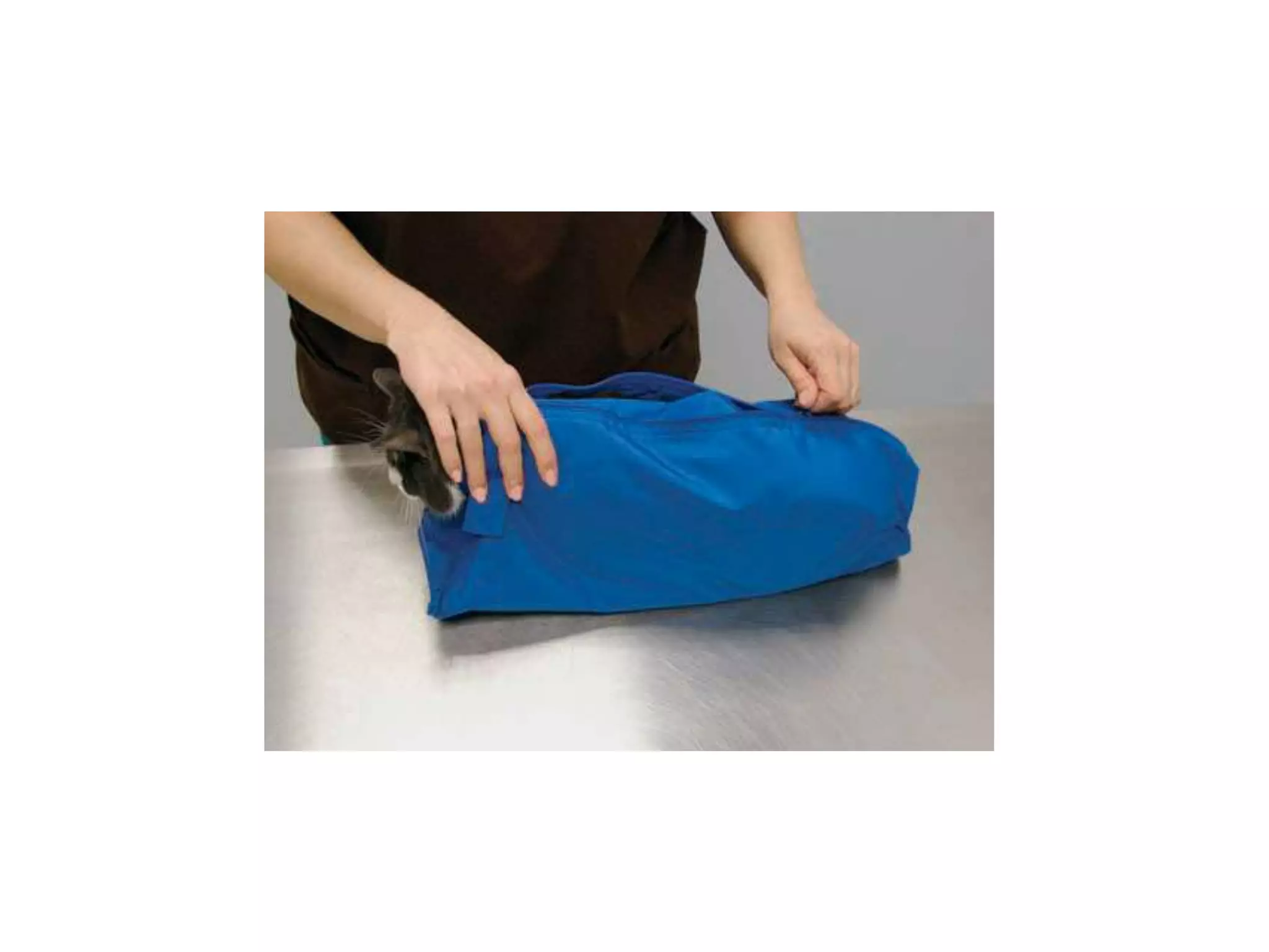 Physical Restraining Methods of dogs and cats | PPTX