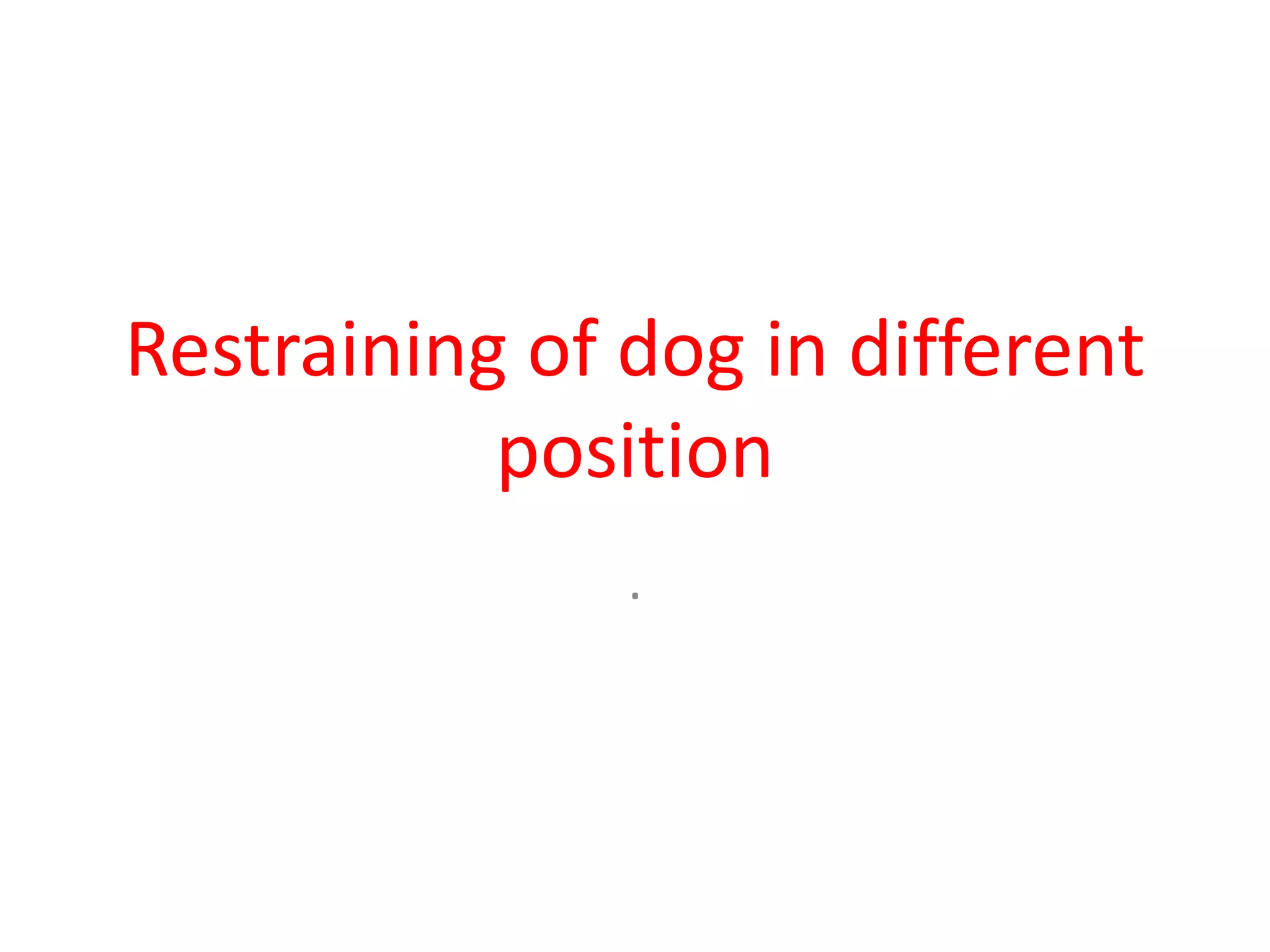 Physical Restraining Methods of dogs and cats | PPTX