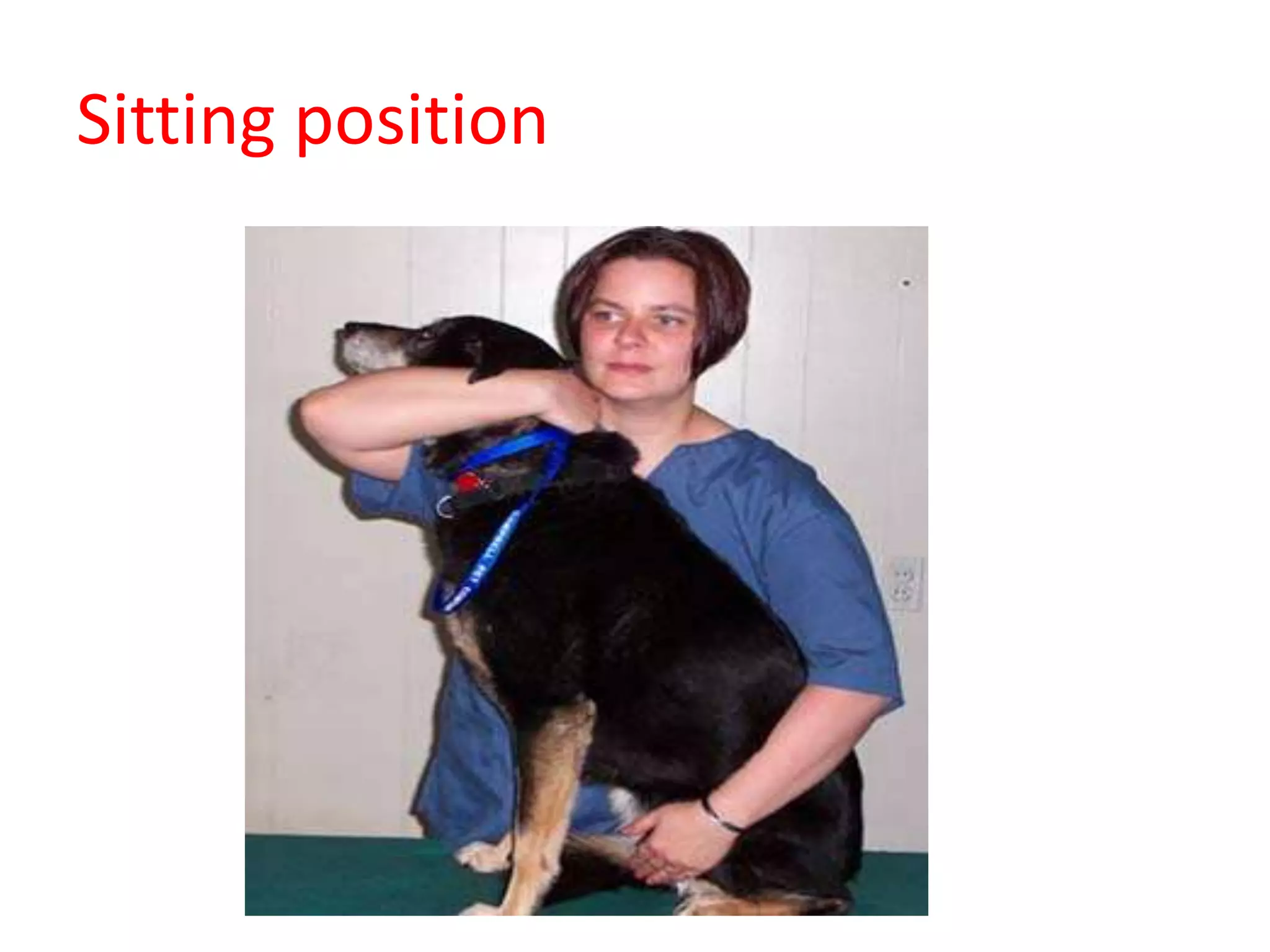 Physical Restraining Methods of dogs and cats | PPTX