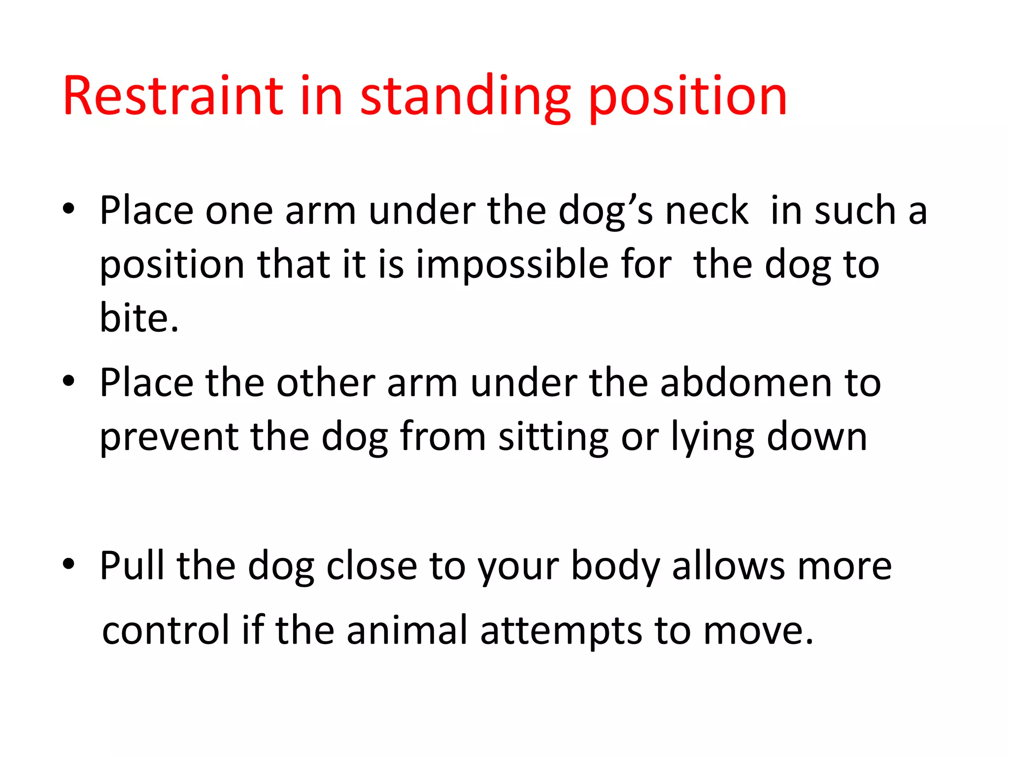 Physical Restraining Methods of dogs and cats | PPTX