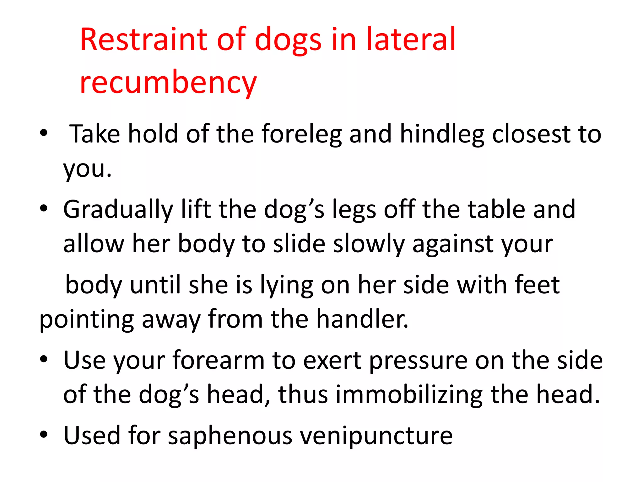 Physical Restraining Methods of dogs and cats | PPTX