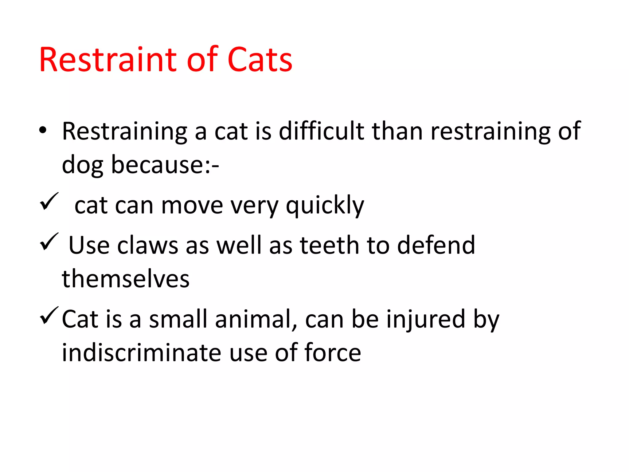Physical Restraining Methods of dogs and cats | PPTX